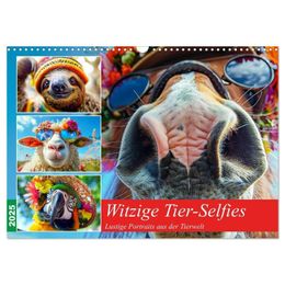 Witzige Tier-Selfies. Lustige Portraits aus der Tierwelt (Wandkalender 2025 DIN A3 quer), Calvendo Monatskalender