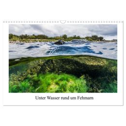 Unter Wasser rund um Fehmarn (Wandkalender 2025 DIN A3 quer), Calvendo Monatskalender