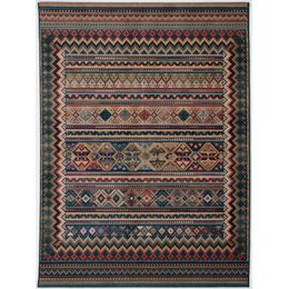 Teppich Theko "Gabiro 416" Teppiche Gr. B/L: 68 cm x 135 cm, 10 mm, 1 St., bunt Orientalische Muster
