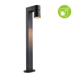 LED Pollerleuchte Paulmann "Kimu IP44 822mm 2200K 7,8W 500lm 230V 70 Anthrazit Aluminium" Lampen Gr. Ø 8,0 cm Höhe: 82,2 cm, grau (anthrazit) Pollerleuchten