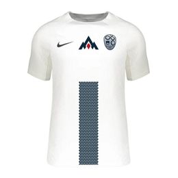 Nike Fußballtrikot Slowenien Auth. Trikot Home EM 2024