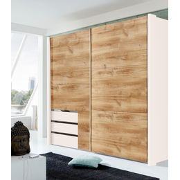 Schwebetürenschrank wimex "Level by fresh to go" Schränke Gr. B/H/T: 200 cm x 236 cm x 65 cm, 2 St., weiß (weiß, plankeneichefarben) Schranksysteme und Schrankserien