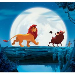 Disney Fototapete "Hakuna Matata" Tapeten Gr. B/L: 3 m x 2,8 m, bunt Fototapeten