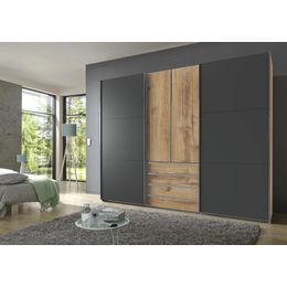 Schwebetürenschrank wimex "Magic by fresh to go" Schränke Gr. B/H/T: 300 cm x 236 cm x 65 cm, 4 St., grau (plankeneiche nachbildung, graphit) Schranksysteme und Schrankserien