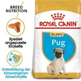 Royal Canin Mops Puppy 1,5 kg