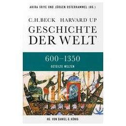 GDW Geschichte Der Welt 600-1350 Geteilte Welten Leinen