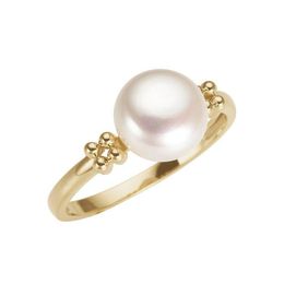 Firetti Perlenring Schmuck Geschenk Gold 333 Fingerring Damenring Perle, mit Süßwasserzuchtperle, gelb|goldfarben|weiß