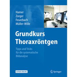 Springer Grundkurs Thoraxröntgen - Okka Hamer, Niels Zorger, Stefan Feuerbach, René Müller-Wille, Gebunden