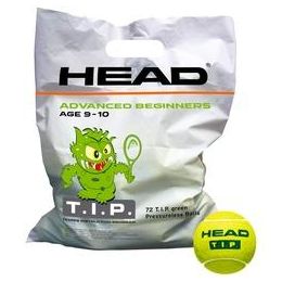 Tennisbälle Head T.I.P. Green (72B)