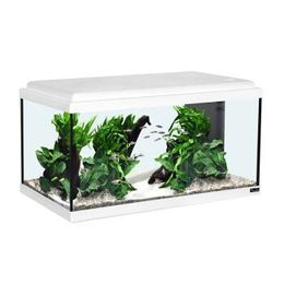 Aquatlantis Aquarienset LED weiß