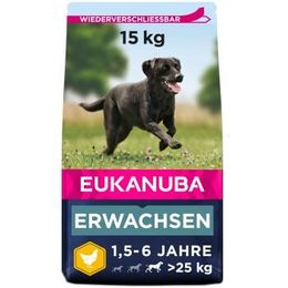eukanuba Adult Large Breed Chicken 15 kg