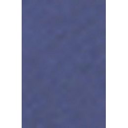 BOSS Sneakersocken 2P AS Uni Colors CC (2-Paar) mit dezentem Logoschriftzug, blau