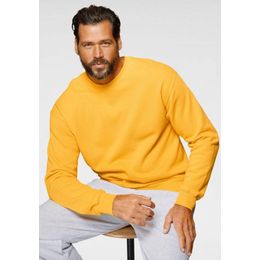 Fruit of the Loom Sweatshirt im unifarbenen Design, gelb