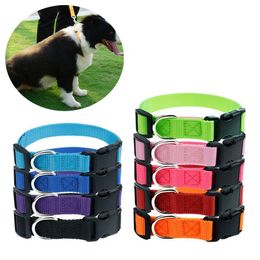 Lubgitsr Hunde-Halsband Hundehalsband