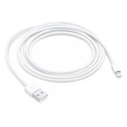 Apple Lightning auf USB Kabel 2m (MD819ZM/A)