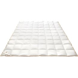 Daunenbettdecke Frau Holle "Ava" Bettdecken Gr. B/L: 200 cm x 200 cm, leicht, weiß Allergiker Bettdecke hoher Schlafkomfort in 4 Wärmeklassen
