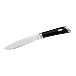 ZIEHER Sambonet Special Knife Steakmesser 25,6 Edelstahl 18/10
