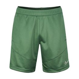 Nike Sportswear Trainingsshorts Herren Shorts Regular Fit (1-tlg)