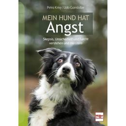 Müller Rüschlikon Mein Hund hat Angst - Petra Krivy, Udo Gansloßer, Kartoniert (TB)