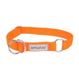 amiplay Hunde-Halsband Hunde Schlupfhalsband SAMBA