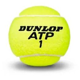 Tennisbälle Dunlop ATP Championship (4 St.)