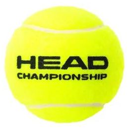 Tennisbälle Head Championship (4 Stk.)