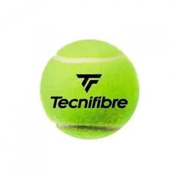 Tennisbälle Tecnifibre Club (4 St.)