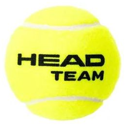 Tennisbälle Head Team (3 St.)