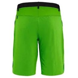 Herren Shorts Salewa Puez 3 Dst Pale Frog L - Grün - L