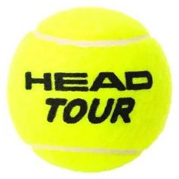 Tennisbälle Head Tour (3 Pack)