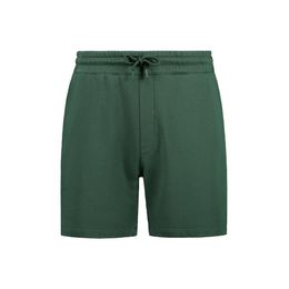 Shiwi Shorts Herren Größe 31/32 grün