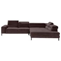 Ecksofa Gallery M BRANDED BY MUSTERRING "Felicia Due L-Form" Sofas Gr. B/H/T: 312 cm x 72 cm x 216 cm, Velours, mega-Recamiere rechts, ohne Sitzvorzug, lila (purple) Wahlweise mit Sitzvorzug, inkl. Kopfteilverstellung, Sitzhöhe 43 cm