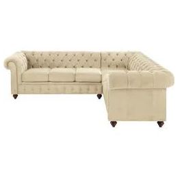 Chesterfield-Sofa Home Affaire "Duc Ecksofa L-Form" Sofas Gr. B/H/T: 255cm x 74cm x 214cm, Samtoptik, langer Schenkel links, beige hochwertige Knopfheftung im Rücken, Samtoptik mit changierender Optik