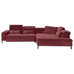 Ecksofa Gallery M BRANDED BY MUSTERRING "Felicia Due L-Form" Sofas Gr. B/H/T: 312cm x 82cm x 218cm, Leder PURO, Longchair rechts, ohne Sitzvorzug, rot (dunkelrot) Wahlweise mit Sitzvorzug, inkl. Kopfteilverstellung, Sitzhöhe 43 cm