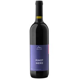 Erste+Neue WirWinzer Select Teck 2022 Pinot Nero Alto Adige DOC trocken