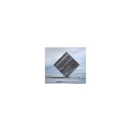 Rough Trade Hörspiel-CD Fink: Perfect Darkness
