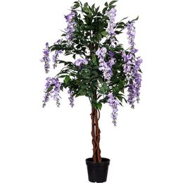 Wisteria Blauregen, 120cm, Violette Blumen - PLANTASIA