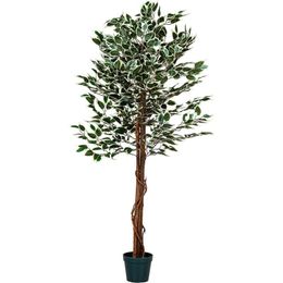 Großer grüner Ficus Baum, Kunstbaum, 190cm - PLANTASIA