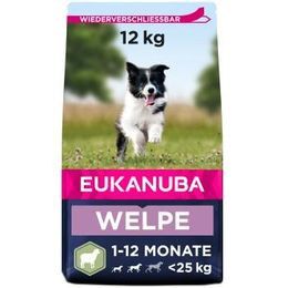 eukanuba Puppy Small & Medium Breed Lamm & Reis 12kg