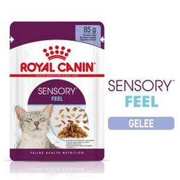 Royal Canin SENSORY Feel in Gelee für wählerische Katzen 12x85g