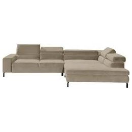 Ecksofa Gallery M BRANDED BY MUSTERRING "Felicia Due L-Form" Sofas Gr. B/H/T: 312 cm x 72 cm x 216 cm, Velours, mega-Recamiere rechts, mit Sitzvorzug motorisch, lila (pearl) Wahlweise mit Sitzvorzug, inkl. Kopfteilverstellung, Sitzhöhe 43 cm