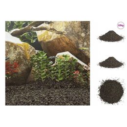 vidaXL Aquarien-Substrat Basalt-Kies 10 kg Schwarz 3-5 mm
