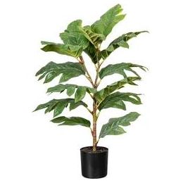 Kunstpflanze Artocarpus I in Grün/Braun