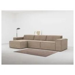 Ecksofa RAUM.ID "Norvid" Sofas Gr. B/H/T: 303cm x 75cm x 153cm, Struktur weich, Chaiselongue links, mit Kaltschaum, grau (taupe) modular, wahlweise mit Kaltschaum, Komfortschaum oder Taschenfederkern