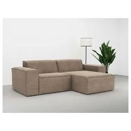 Ecksofa RAUM.ID "Norvid" Sofas Gr. B/H/T: 225cm x 75cm x 153cm, Struktur weich, Chaiselongue rechts, mit Federkern, grau (taupe) modular, wahlweise mit Kaltschaum, Komfortschaum oder Taschenfederkern