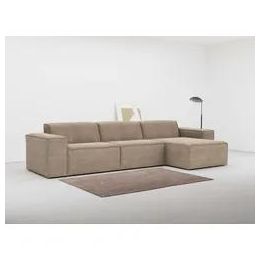 Ecksofa RAUM.ID "Norvid" Sofas Gr. B/H/T: 303cm x 75cm x 153cm, Struktur weich, Chaiselongue rechts, mit Kaltschaum, grau (taupe) modular, wahlweise mit Kaltschaum, Komfortschaum oder Taschenfederkern