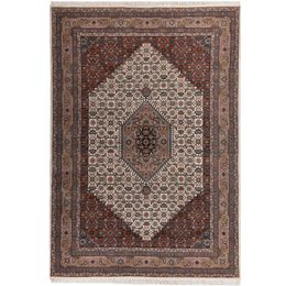 Orientteppich Theko "Benares Bidjar" Teppiche Gr. B/L: 170 cm x 240 cm, 12 mm, 1 St., braun (creme, braun) Orientalische Muster reine Wolle, handgeknüpft, mit Fransen