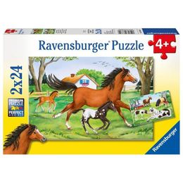 RAVENSBURGER VERLAG Puzzle Welt der Pferde 2x24