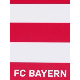 FC Bayern München FC Bayern München Buntstift Schreibtischauflage