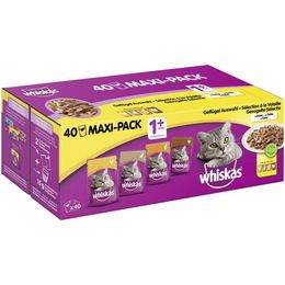 whiskas® Portionsbeutel Multipack Maxi-Pack 1+ Geflügel Auswahl in Gelee 40 x 100g